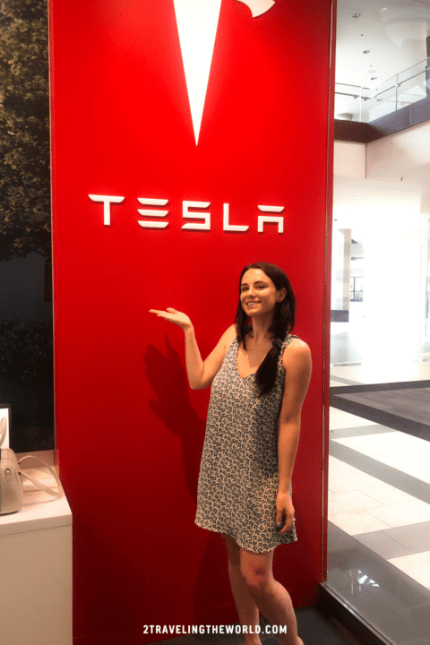 19+ Best Tesla Model Y Accessories We Are Obsessing Over