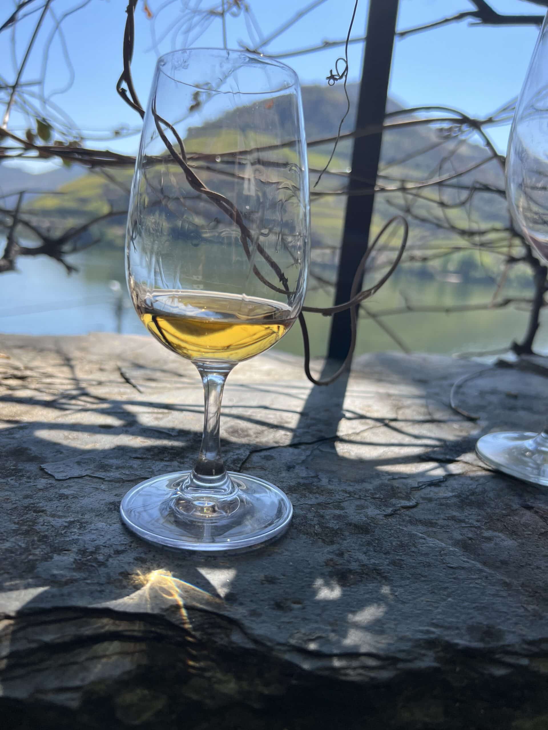 11 Top Things To Do in Porto - Portugal Travel Guides